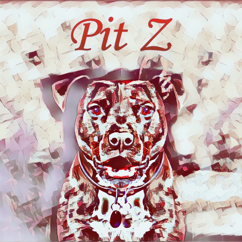 Pit Z - Free music on ToneDen