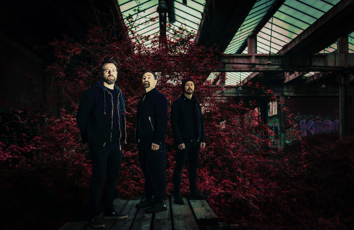 HARD COLD FIRE IN-STORE TOUR