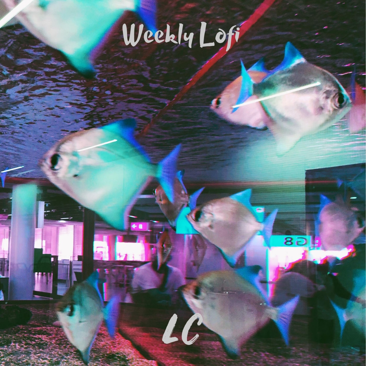 ToneDen - Automated Social Marketing