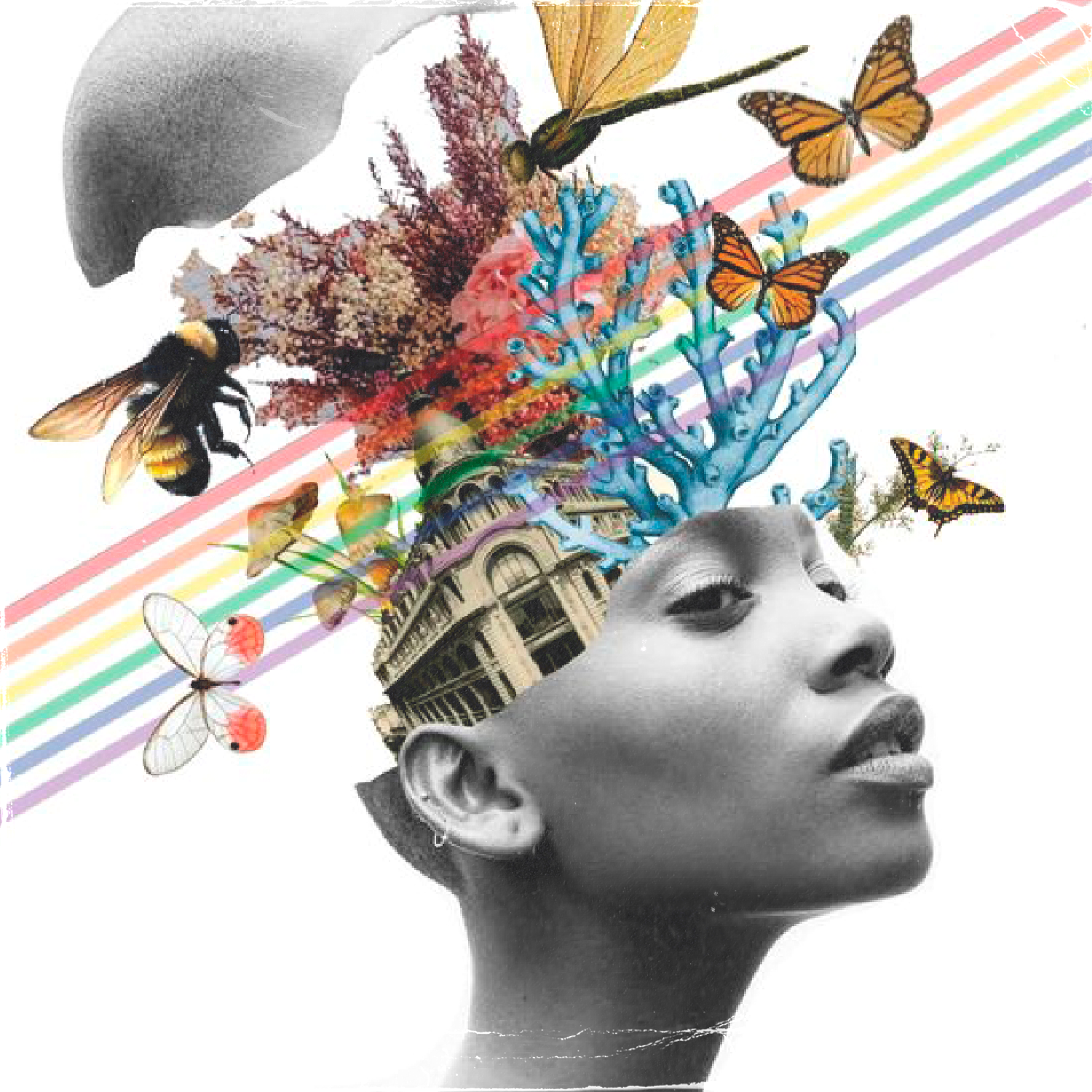 Nirvana (Sample Pack) by Duddz - Free download on ToneDen