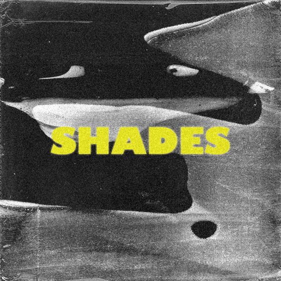 [FREE] R&B Sample Pack "SHADES" by SAMUDAI - Free download on ToneDen