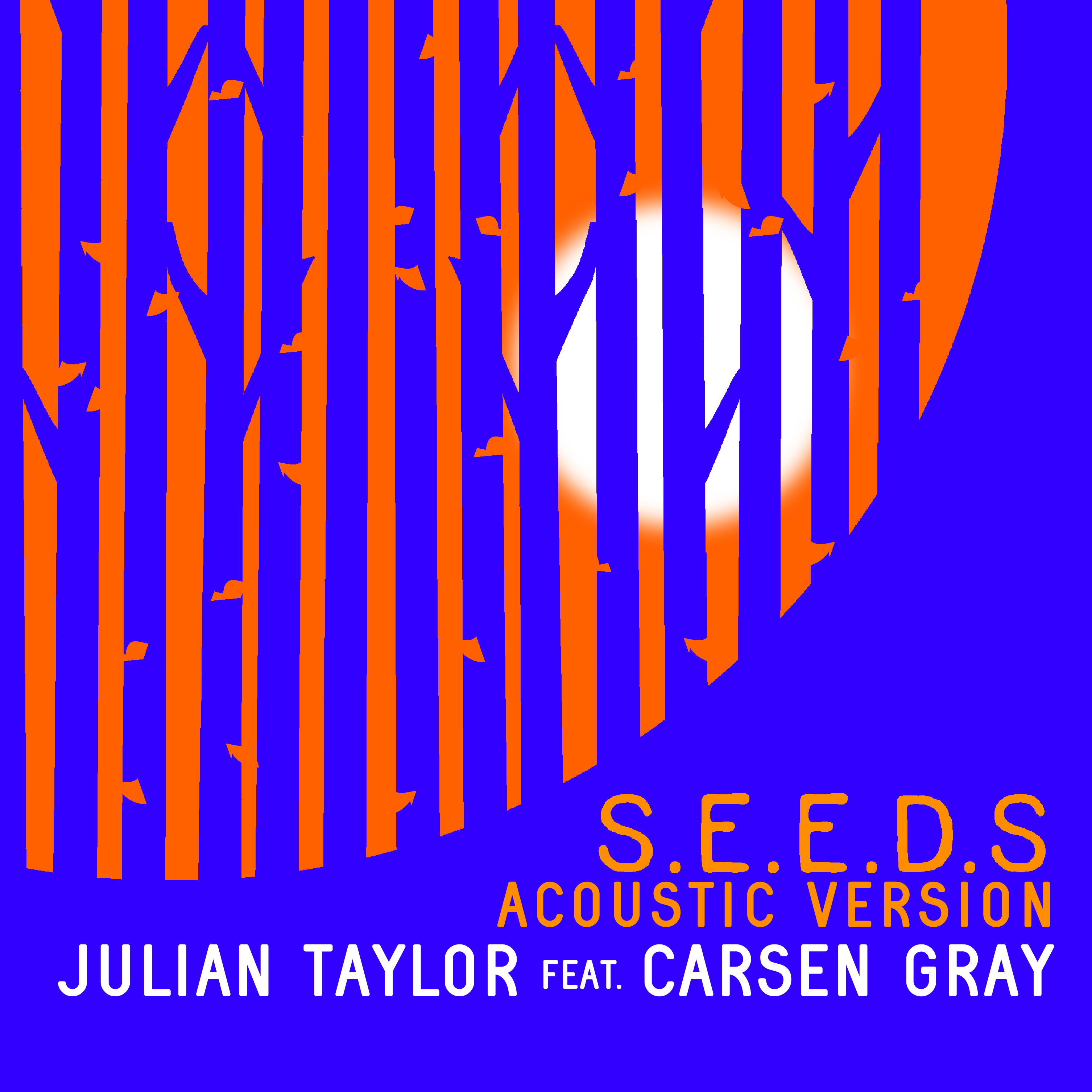 "Seeds (Acoustic) ft Carsen Gray," the latest single from Julian Taylor